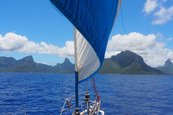 Private Sunset Sailing Excursion Sail yourself Mori Ora - What to Expect During the Tour