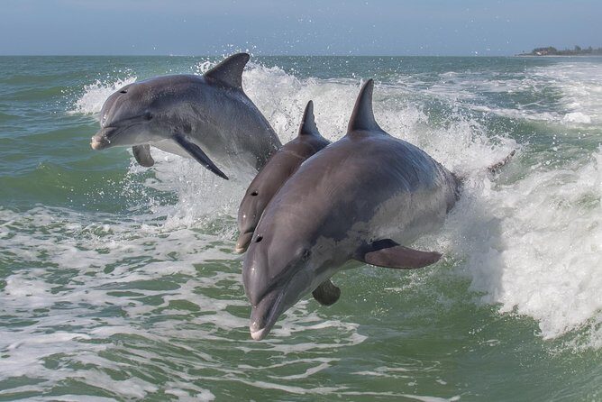 PRIVATE Sunset & Sightseeing Boat Trip of Naples Bay and the Gulf - What’s Included and What’s Not
