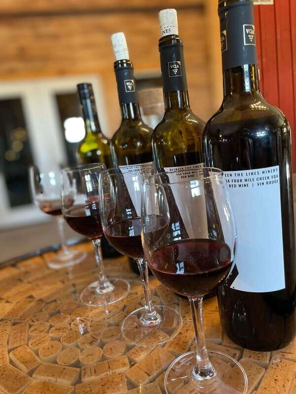 Private Sunset Wine Tour with Dinner - Niagara On The Lake - Final Thoughts