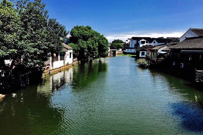 Private Suzhou Day Tour from Shanghai to Classical Gardens and Tongli Water Town - What Travelers Say
