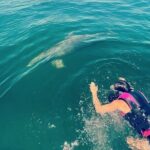 Private Swim with Dolphins And Snorkeling Tour - The Value of a Private Tour in Panama City Beach