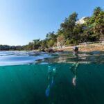 Private Sydney Snorkeling Experience: Explore Cabbage Tree Bay - What Reviewers Say