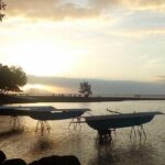 private Tahiti island discovery - Who Should Consider This Tour?