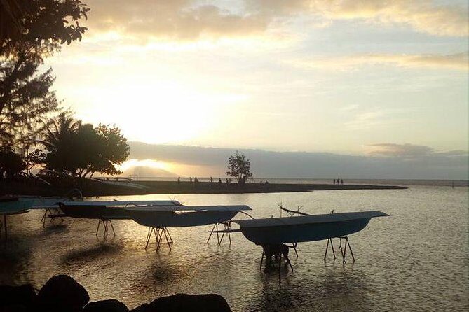 private Tahiti island discovery - Who Should Consider This Tour?