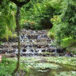 Private : Tahiti Museum & Circle Island Tour, Afternoon Tour (5h) - Who Is This Tour Best For?