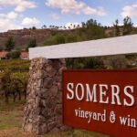 Private Temecula Wine Tour from Bonsall - Lunch Stops: Vineyard Views and Relaxed Atmospheres
