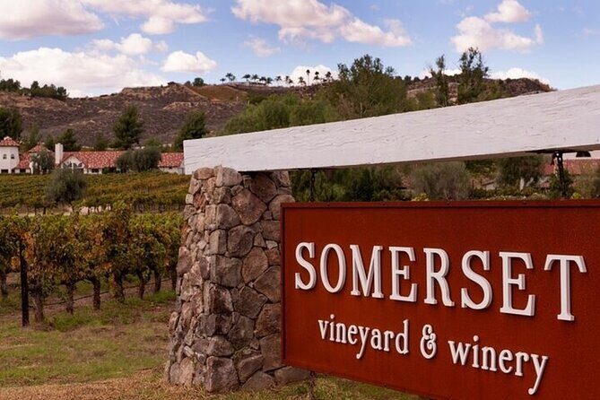 Private Temecula Wine Tour from Bonsall - Lunch Stops: Vineyard Views and Relaxed Atmospheres