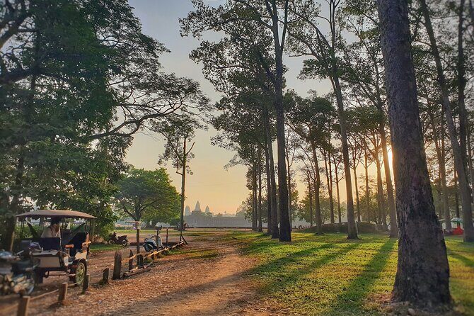 Private Temples Guided Tour (Angkor Wat, Ta Prom & Angkor Thom) - The Value of a Private Guided Tour