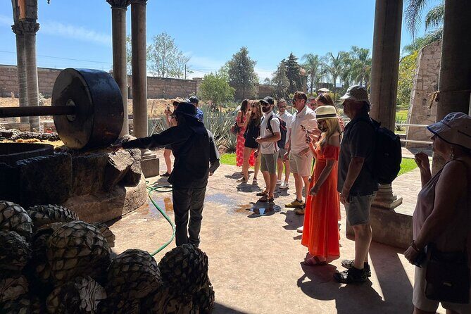 Private Tequila Tour with Local Expert - The Value of This Experience