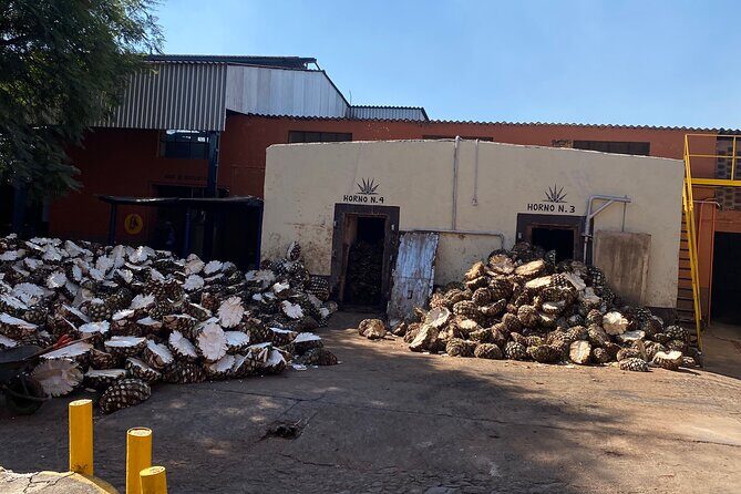Private Tequila Tour - The Practicalities: Transportation, Timing, and Group Size