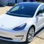 Private Tesla Transfer: Auckland, Tauranga, Rotorua, Taupo - What Travelers Say: Authentic Insights