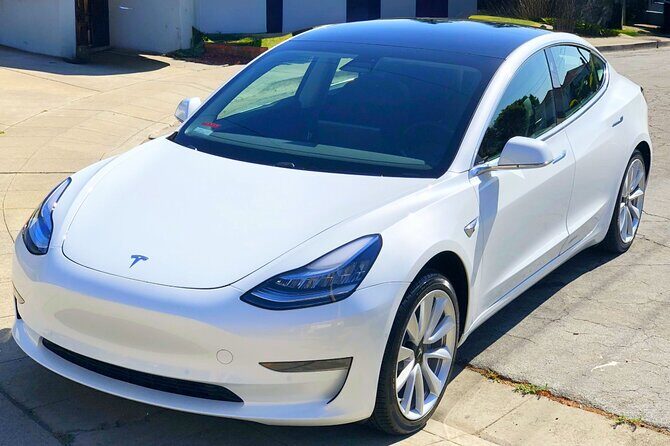 Private Tesla Transfer: Auckland, Tauranga, Rotorua, Taupo - What Travelers Say: Authentic Insights