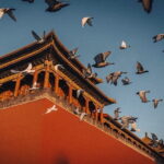 Private Tiananmen Square Forbidden City Mutianyu Great Wall - Why This Tour Offers Great Value