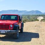 Private Todos Santos Jeep - Who Will Love This Tour?