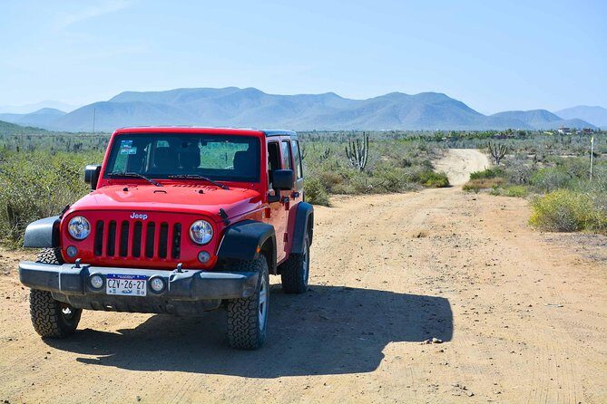 Private Todos Santos Jeep - Who Will Love This Tour?