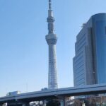 Private Tokyo City tour With English Speaking guide - Transport & Practicalities