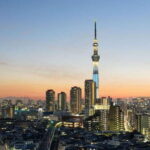 Private Tokyo Sightseeing Tour with English speaking Driver - How Does the Experience Feel?