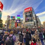 Private Tokyo Tour by subway w/Licensed English-speaking Guide - The Perfect Fit: Who Should Consider This Tour?