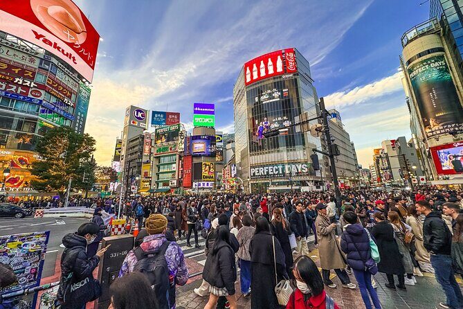 Private Tokyo Tour by subway w/Licensed English-speaking Guide - The Perfect Fit: Who Should Consider This Tour?