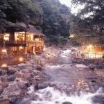 Private Tokyo Tour guide Japanese disco, clubs. Dancing any where translate. - What Travelers Say (Based on Reviews)