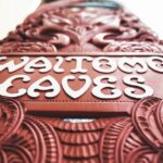Private Tour [2 Days]: Auckland to Waitomo Caves, Rotorua, Te Puia & Wai-O-Tapu - What Makes This Tour Stand Out?