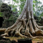 Private Tour-Angkor Complex Discovery - Why Choose This Tour?