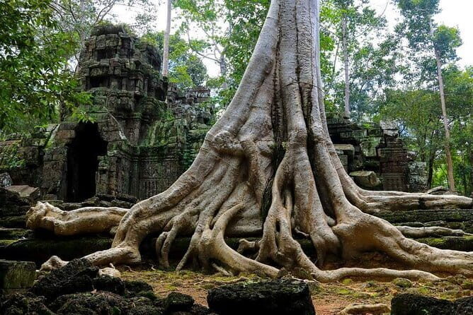 Private Tour-Angkor Complex Discovery - Why Choose This Tour?
