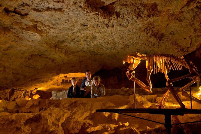 Private Tour at Naracoorte Caves - Why This Tour Offers Great Value
