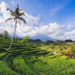 Private Tour : Bali Bird park and Tegenungan Waterfall - Exploring Bali’s Wildlife at Bali Bird Park