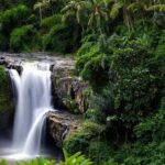 Private Tour: Batuan Temple, Tegenungan Waterfall, Elepahant Cave Free transport - The Real Value of This Tour