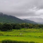 Private Tour: Best of Nadi Highlights - What Does the Tour Offer in Practical Terms?
