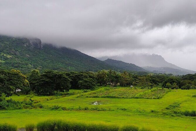 Private Tour: Best of Nadi Highlights - What Does the Tour Offer in Practical Terms?