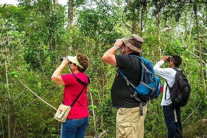 Private Tour: Birdwatching from Cancun - The Sum Up