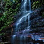 Private Tour Blue Mountains Day Adventure Wildlife + River Cruise - Final Thoughts: Why This Tour Works Well