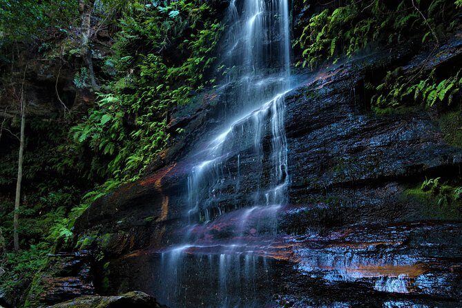 Private Tour Blue Mountains Day Adventure Wildlife + River Cruise - Final Thoughts: Why This Tour Works Well