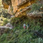 Private Tour: Blue Mountains Hiking & Nature - What to Expect from the Experience