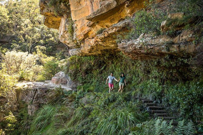 Private Tour: Blue Mountains Hiking & Nature - What to Expect from the Experience