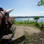 Private Tour: Bora Bora by 4WD - FAQ