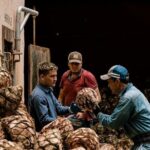 Private Tour Cascahuin Distillery and visit to Tequila - How the Experience Comes Together for You