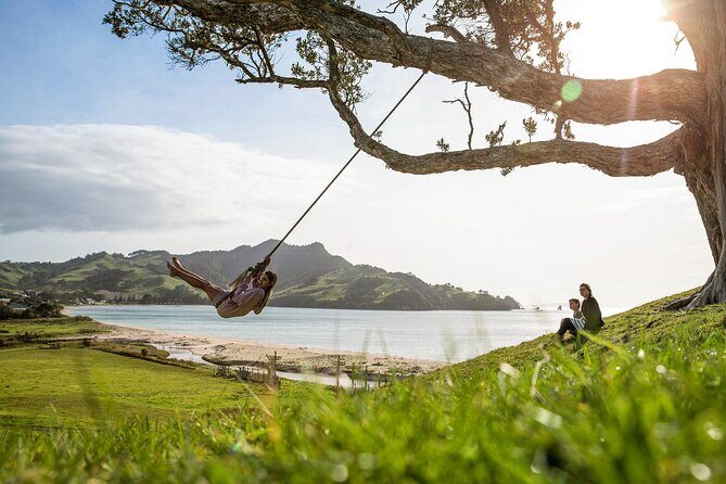 Private Tour - Coromandel Beach, Caves & Forest - Stop 2: Hot Water Beach — The Natural Spa Experience