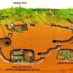 Private Tour - Cu Chi Tunnels 1/2 Day With Experienced Guide - Food and Cultural Insights