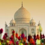 Private Tour: Day Trip to Agra from Delhi WithTaj Mahal , Agra Fort & Baby Taj - What Makes This Tour Stand Out?