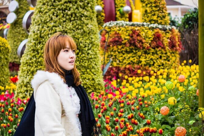 Private Tour Everland Theme Park Full Day from Seoul - Exploring Everland: Five Themed Zones of Fun