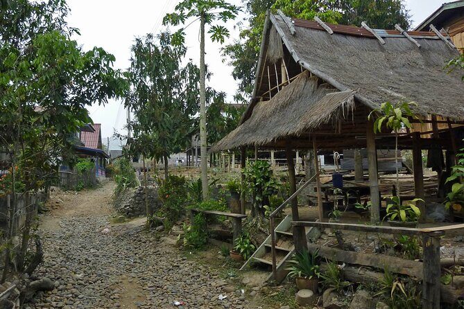Private Tour Explore Local Market & Kuang Si Waterfall - The Experience of the Waterfalls