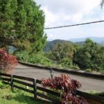 Private Tour: Fraser's Hill Bird-Watching Nature Tour from Kuala Lumpur - Who Will Love This Tour?