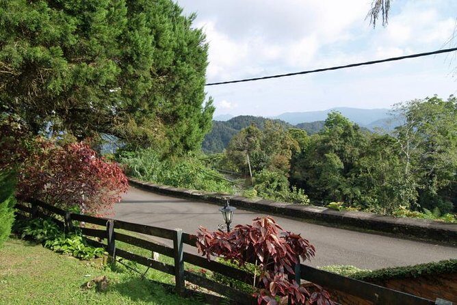 Private Tour: Fraser's Hill Bird-Watching Nature Tour from Kuala Lumpur - Who Will Love This Tour?