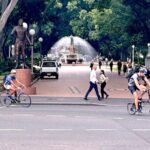 Private Tour from Sydney to Canberra - What Makes This Tour a Good Value