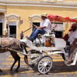 Private Tour Guide in Merida, 100% customisable - Authentic Insights from Reviewers