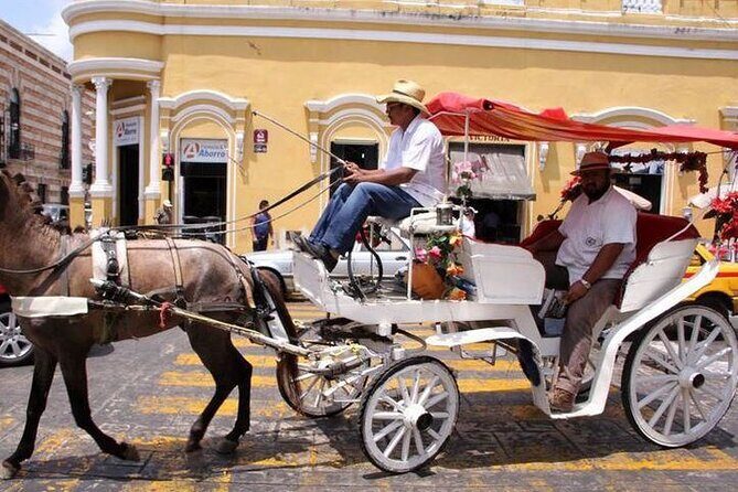 Private Tour Guide in Merida, 100% customisable - Authentic Insights from Reviewers