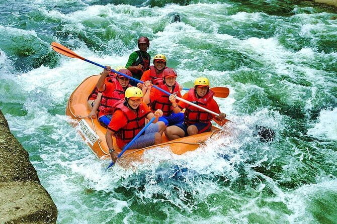 Private Tour: Half Day Tour Bukit Lawang & Orang Utan Jungle Trekking - A Closer Look at Pricing and Value
